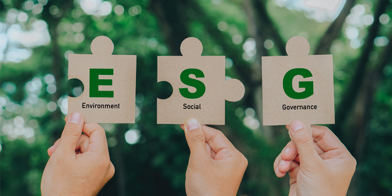 Committed to the ESG gold standard - Global Forwarding